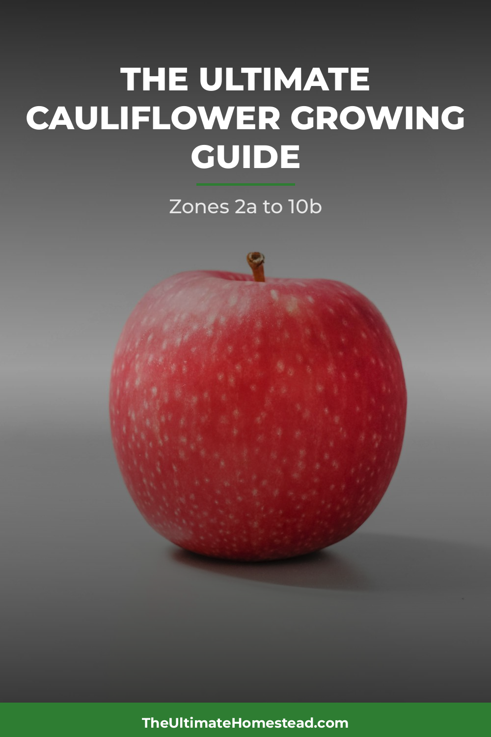 Cauliflower Planting Guide | Zones, Dates & Tips