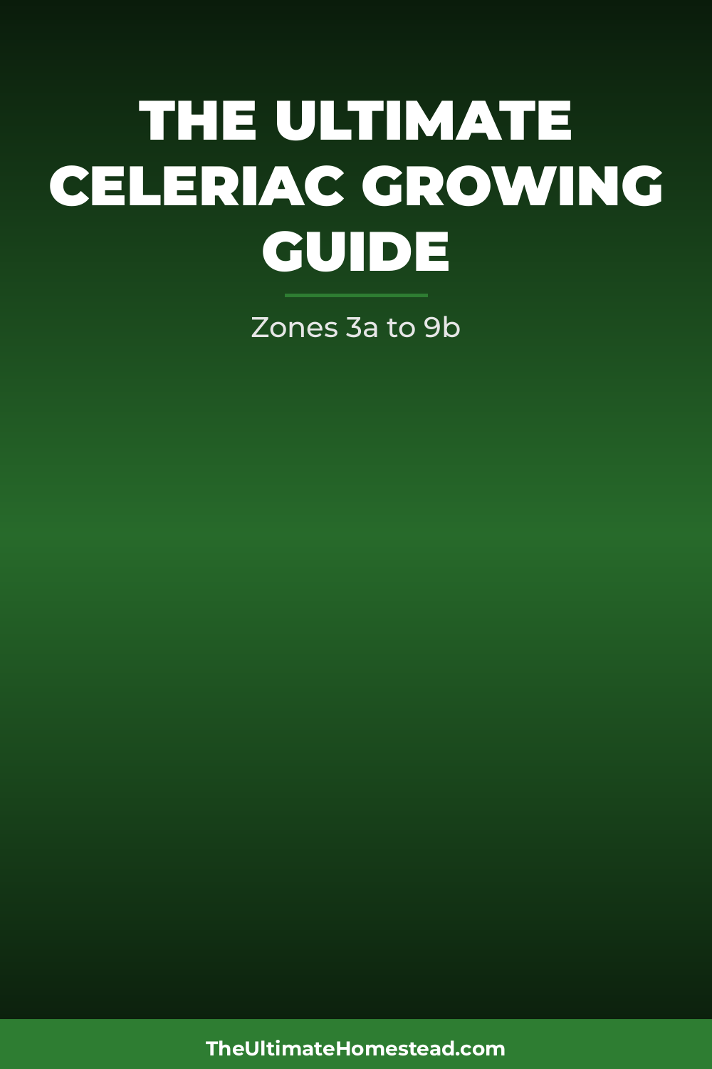 Celeriac Planting Guide | Zones, Dates & Tips