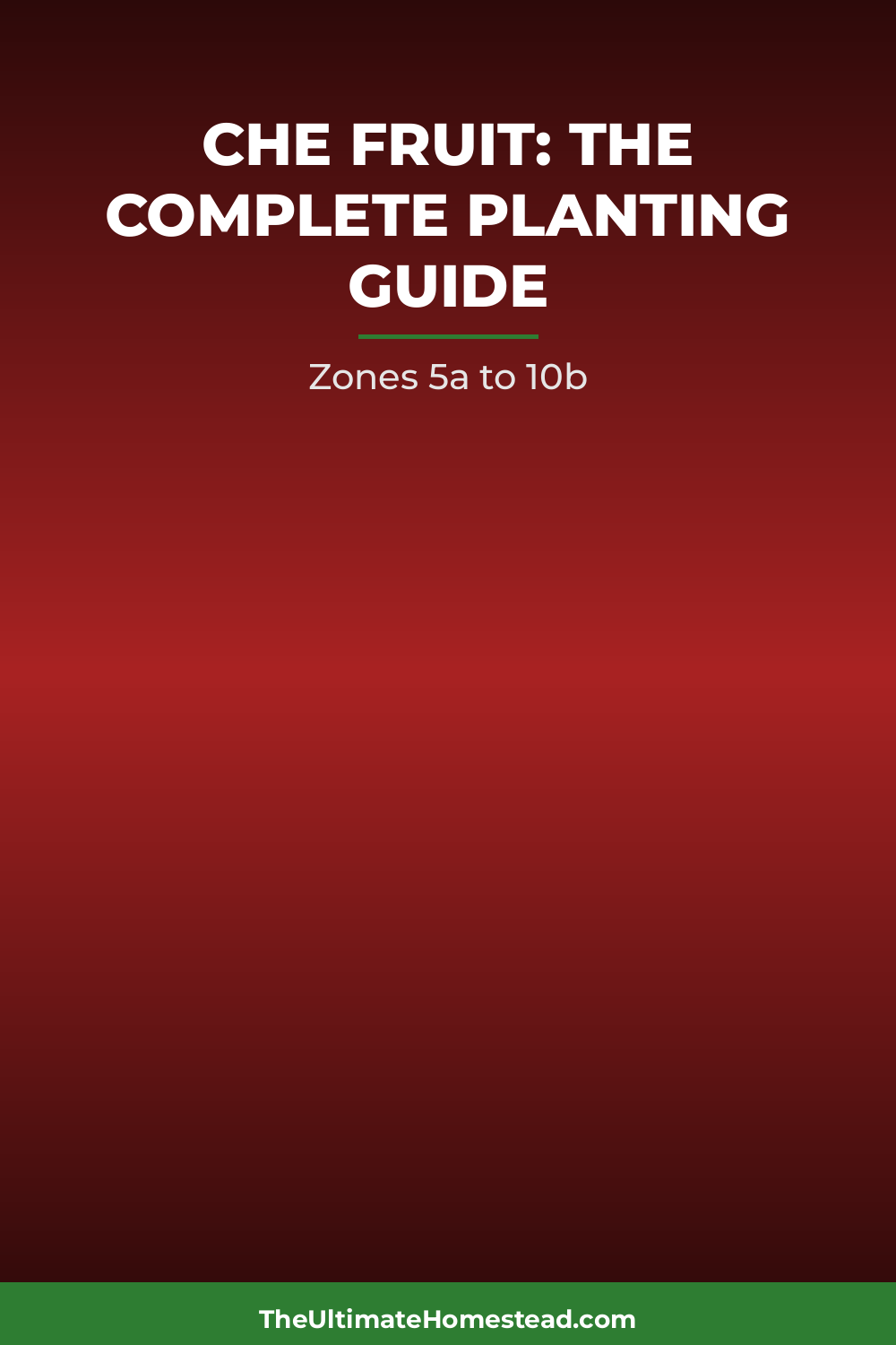 Che Fruit Planting Guide | Zones, Dates & Tips