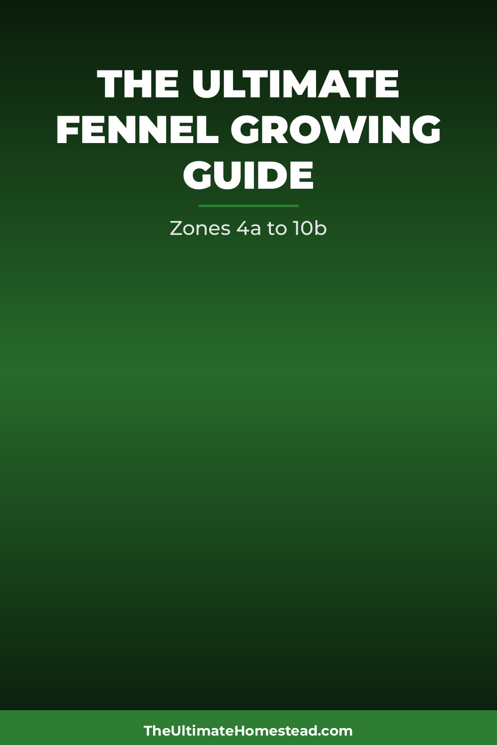 Fennel Planting Guide | Zones, Dates & Tips