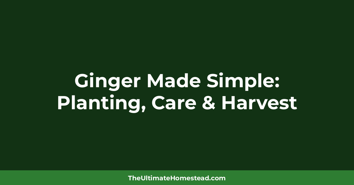 Ginger Planting Guide | Zones, Dates & Tips