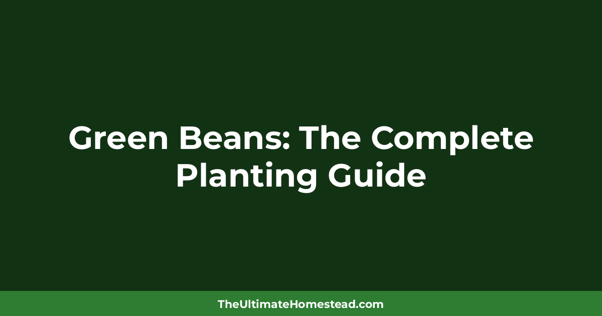 Green Beans Planting Guide | Zones, Dates & Tips