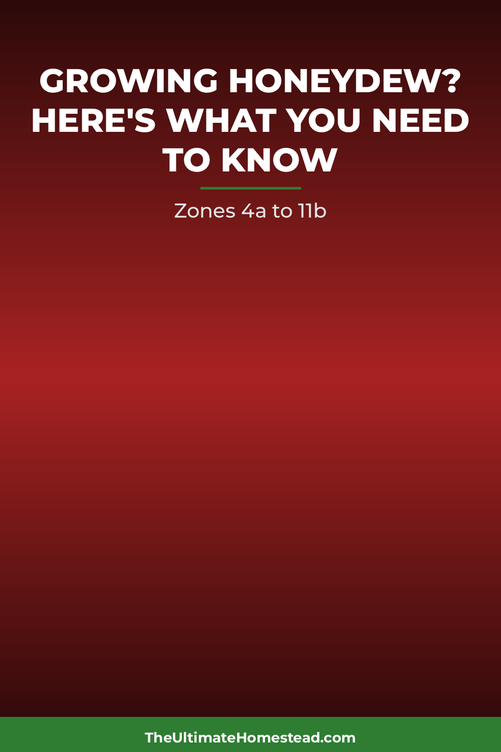 Honeydew Planting Guide | Zones, Dates & Tips