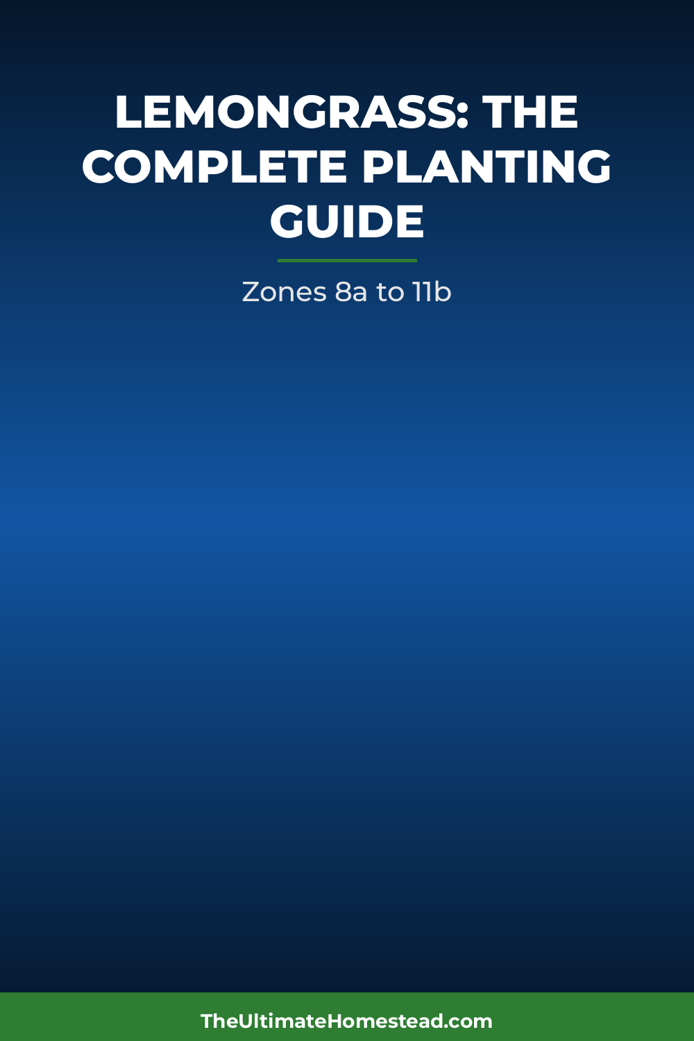 Lemongrass Planting Guide | Zones, Dates & Tips