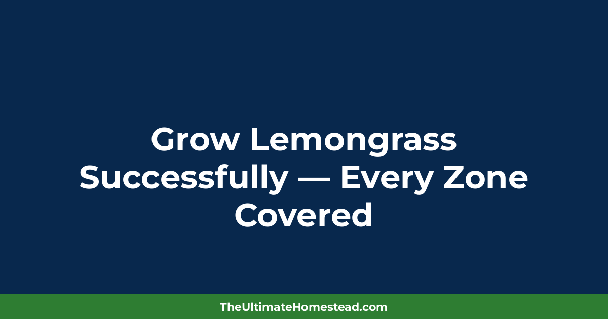 Lemongrass Planting Guide | Zones, Dates & Tips