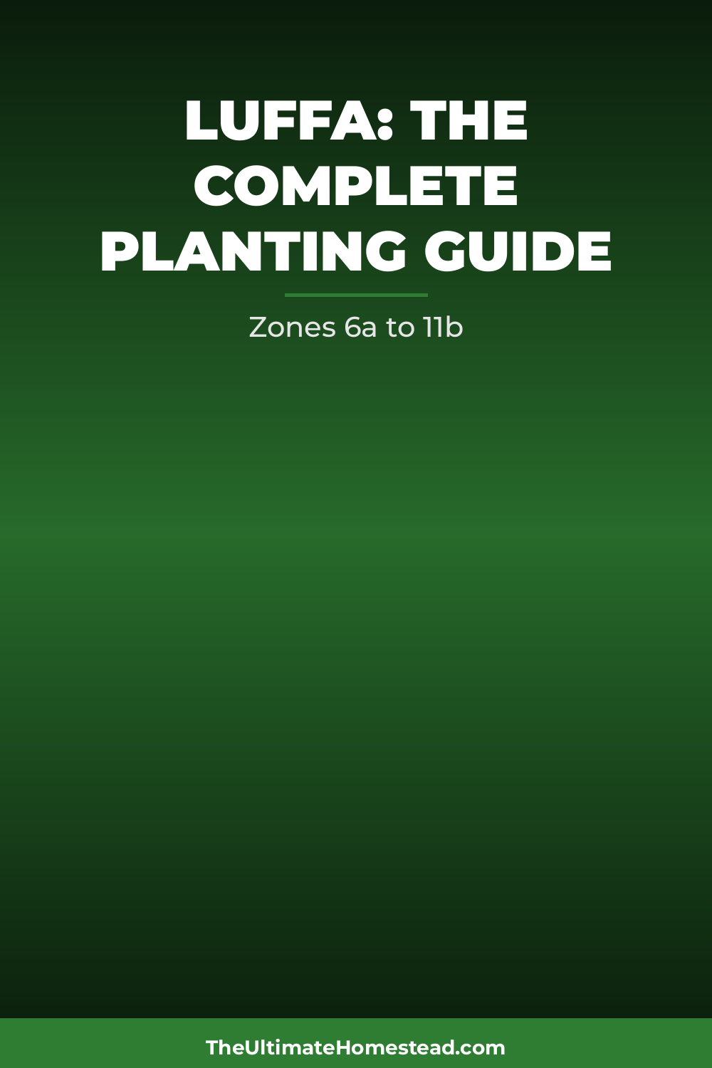 Luffa Planting Guide | Zones, Dates & Tips