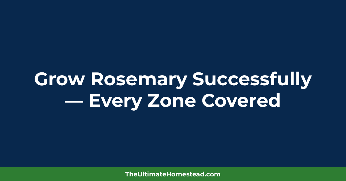Rosemary Planting Guide | Zones, Dates & Tips