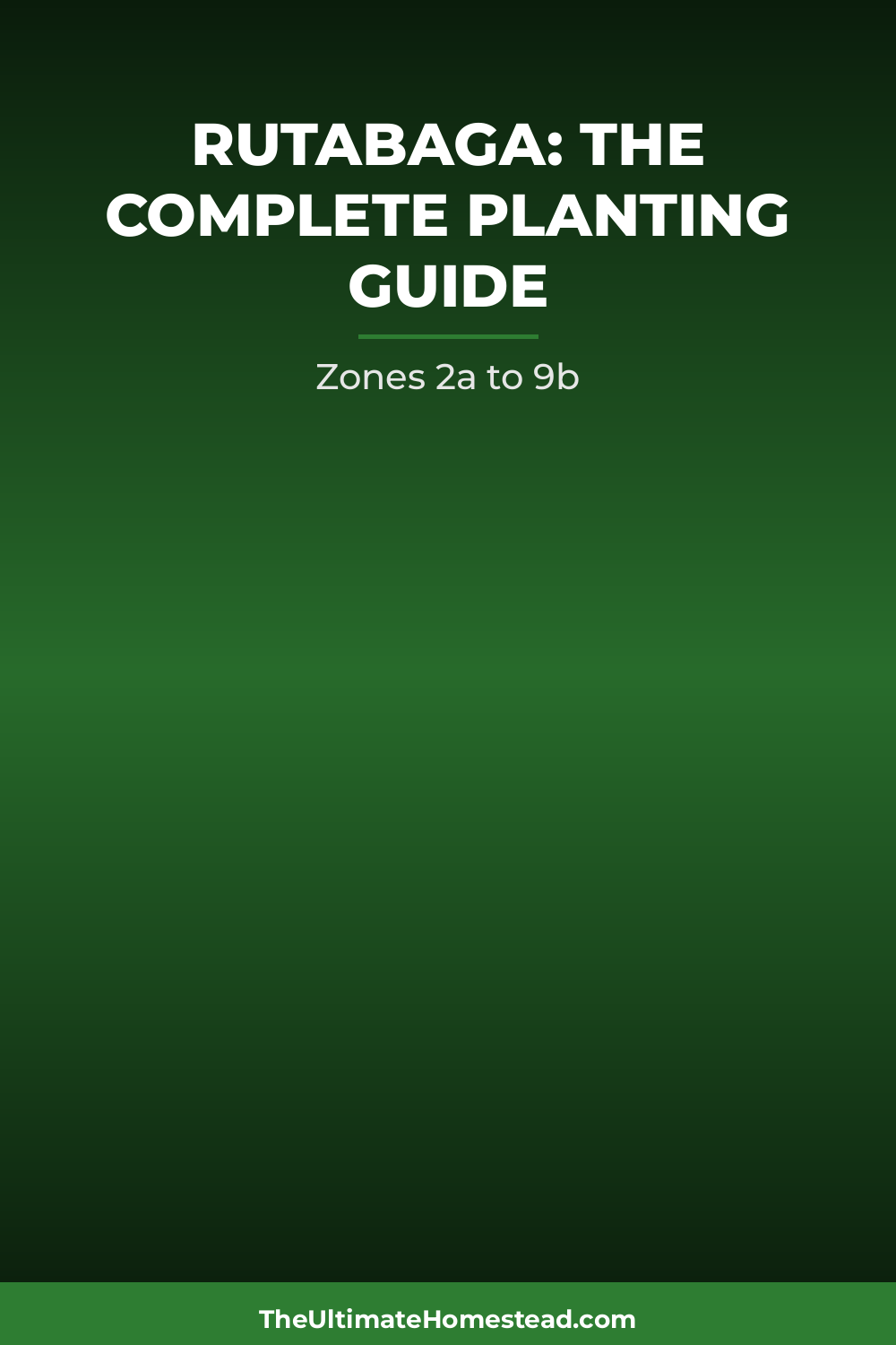 Rutabaga Planting Guide | Zones, Dates & Tips
