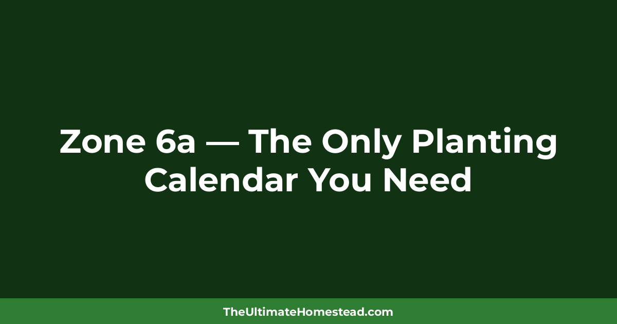 Zone 6a Planting Calendar | What to Grow