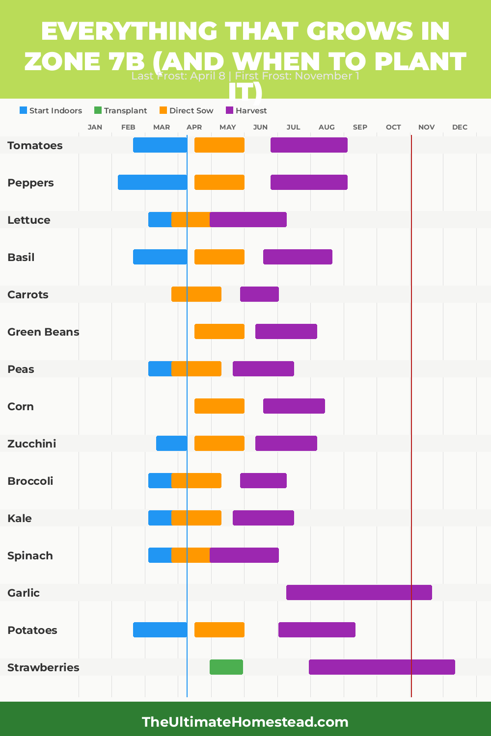 Zone 7b Planting Calendar | What to Grow