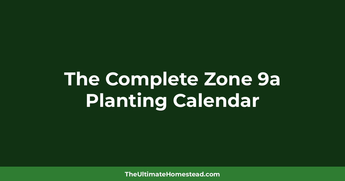 Zone 9a Planting Calendar | What to Grow
